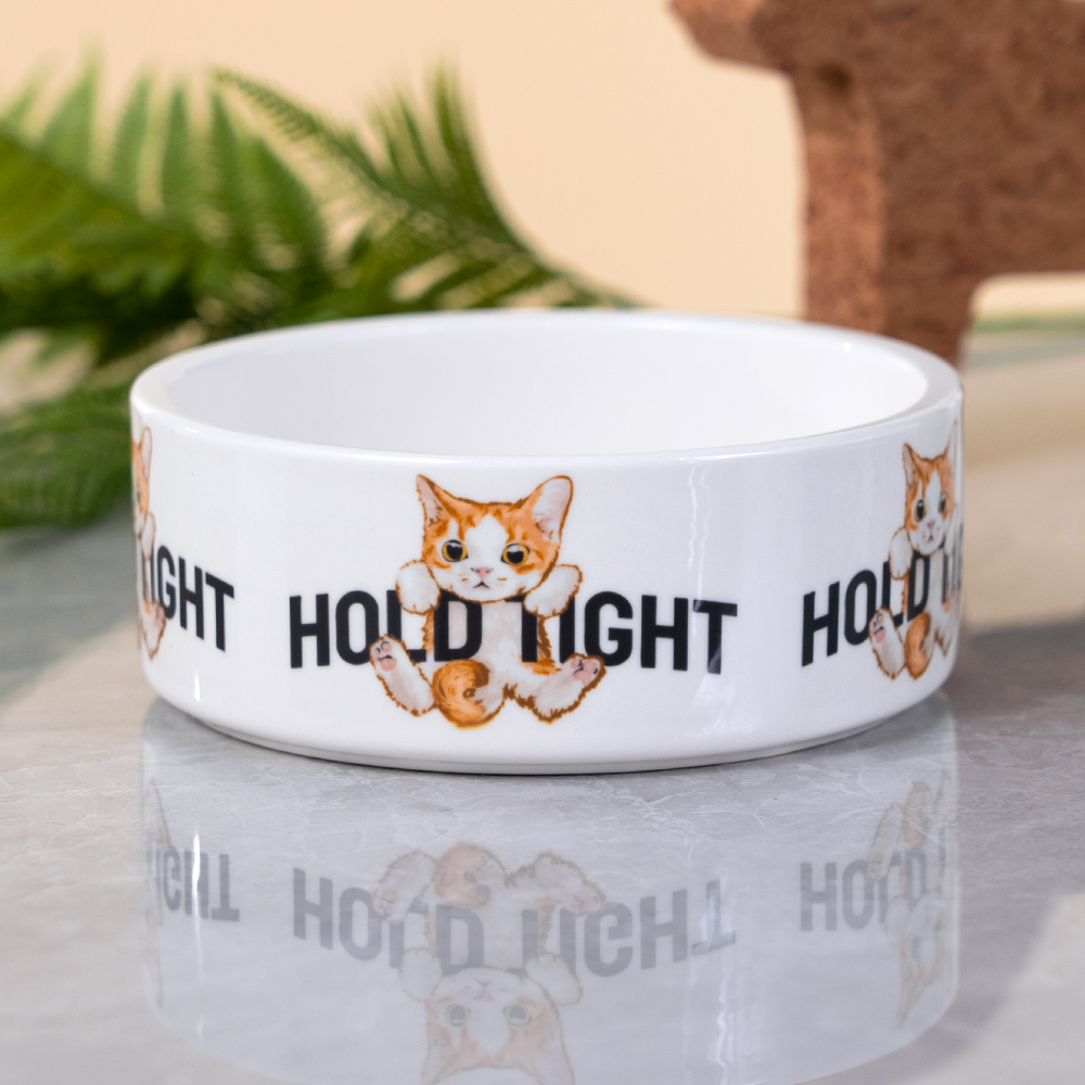 Personalized Custom Ceramic Dog & Cat Bowl. Personalized Products ...