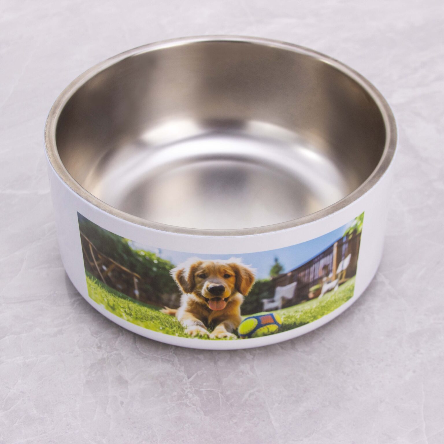 Custom Stainless Steel Dog Bowl | Personalized Pet Bowls | VivoPrint