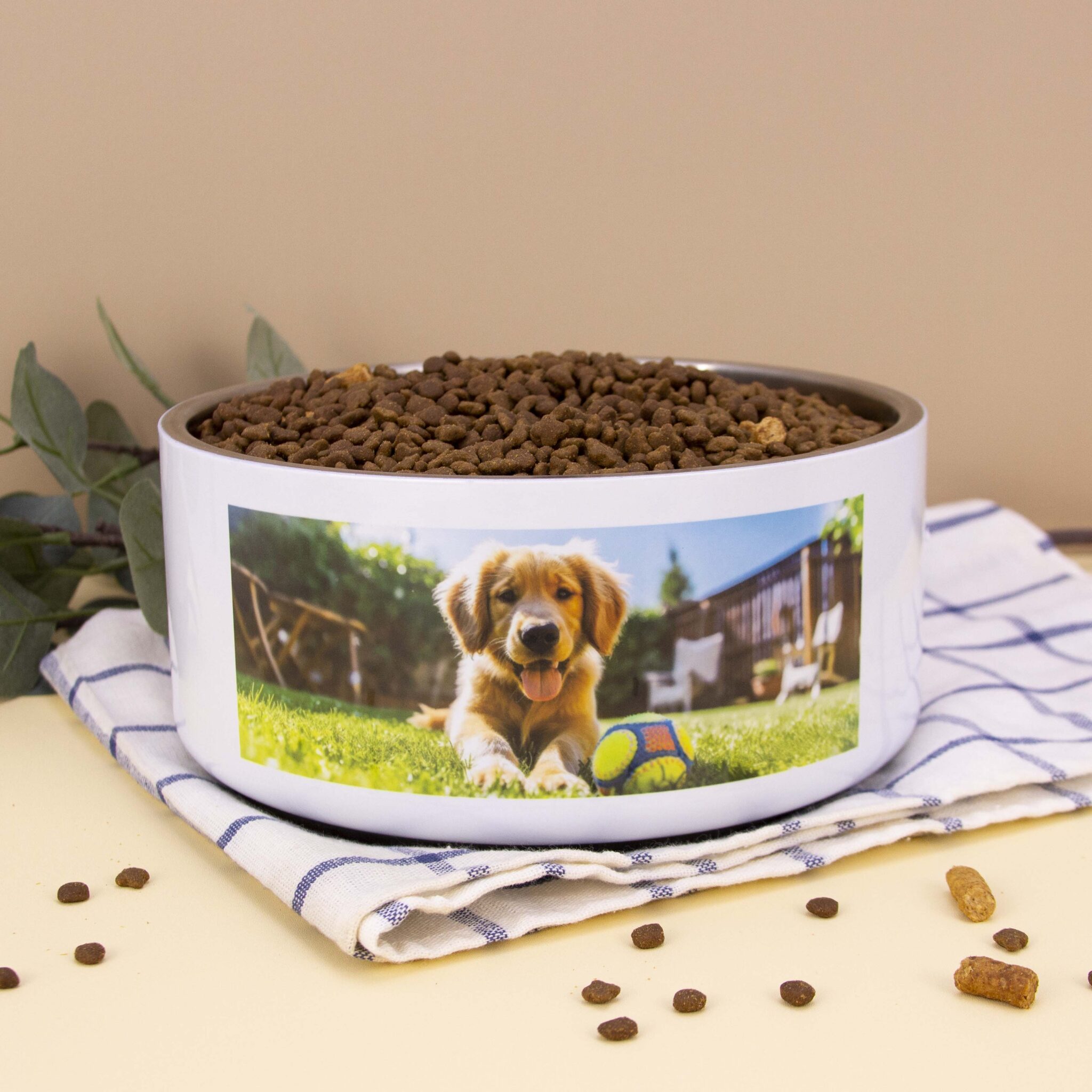 Custom Stainless Steel Dog Bowl | Personalized Pet Bowls | VivoPrint